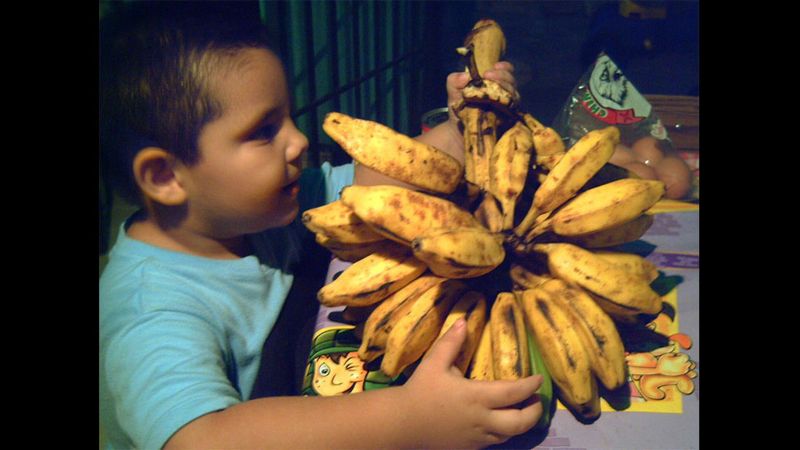 Frutas de América Latina, fiesta de sabor y color - BBC News Mundo