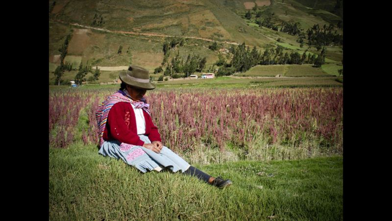 Instantáneas de la vida rural - BBC News Mundo