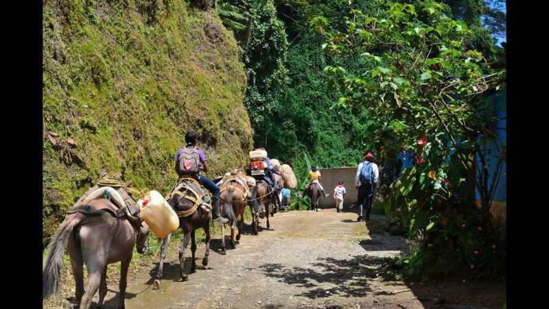 Instantáneas de la vida rural - BBC News Mundo