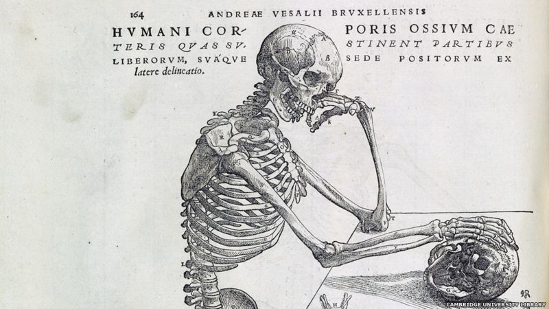 Livro de 1543 ensina anatomia em ilustrações exuberantes - BBC News Brasil