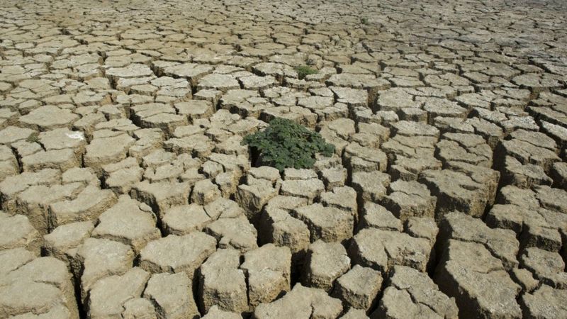 Record surge in atmospheric CO2 seen in 2016 - BBC News