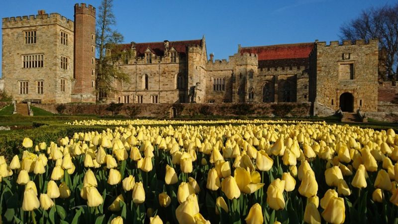 Renegade Nell: Penshurst Place to star in new period adventure - BBC News