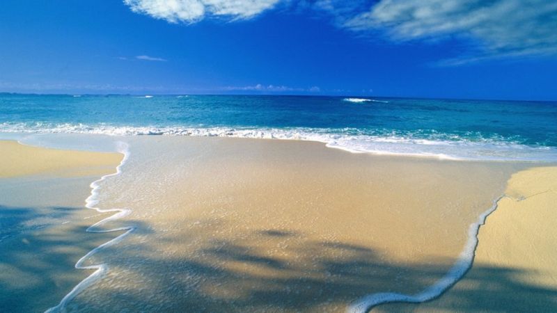 Eco campaigner Oly Rush completes 37-hour Caribbean island swim - BBC News