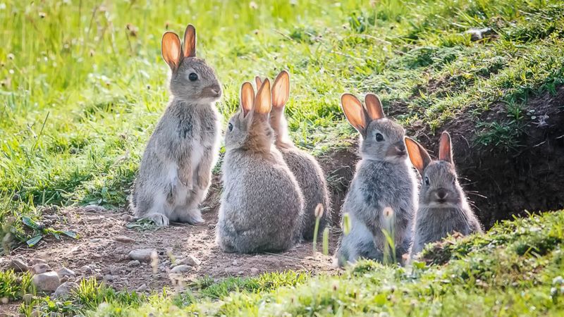 Your pictures of Scotland 26 June - 3 July. - BBC News
