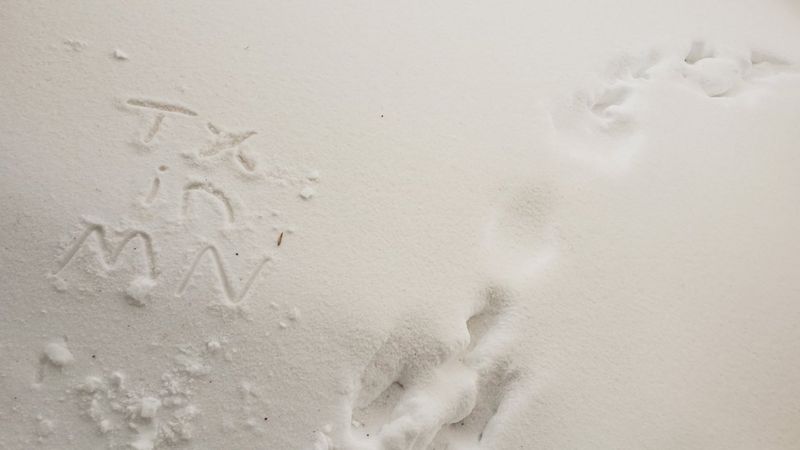 Why is brown snow falling in the US Midwest? - BBC News