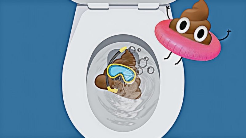 Researchers have looked into why some poos float or sink in the toilet ...