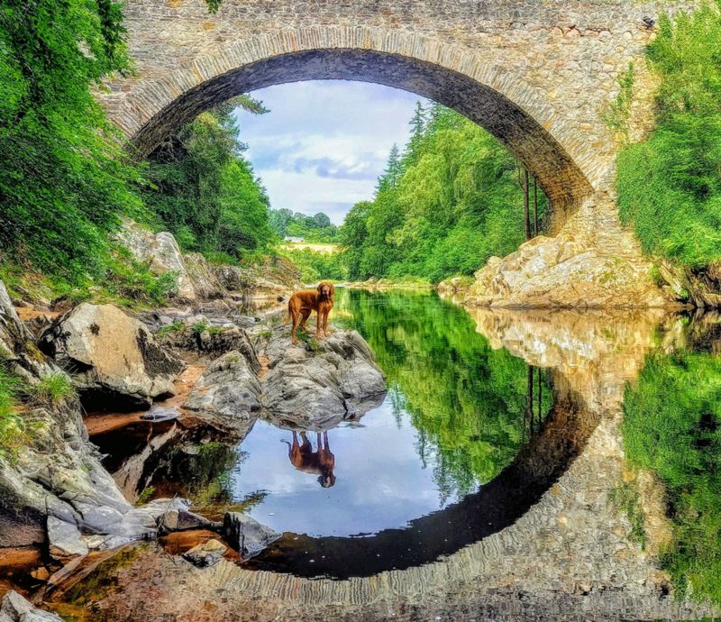 Your pictures of Scotland: 21 July to 28 July - BBC News