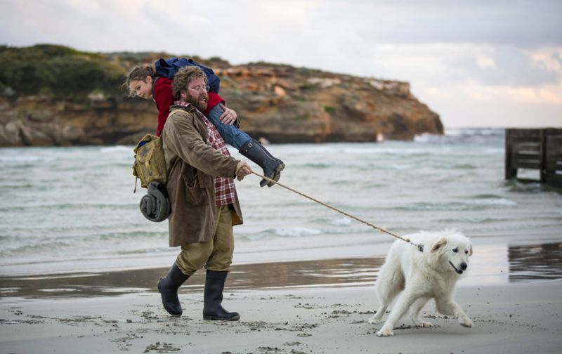 The dogs that protect little penguins - BBC News
