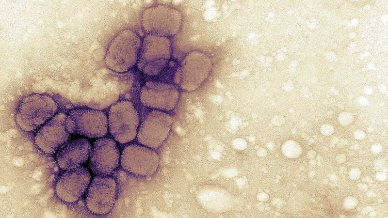 Los niños mexicanos que fueron utilizados como "neveras" de vacunas ...