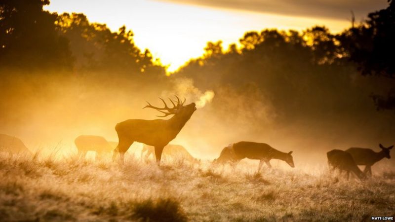 Your October weather photos - BBC Weather