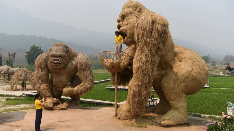 Straw sculptures: Amazing animal statues from around the world, all ...
