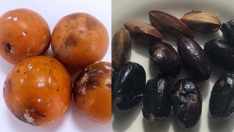 Seasonal Fruits: Mkpụrụosisi ndị ị ga-eji tụọ ndụ gị mmanụ ugbua - BBC ...