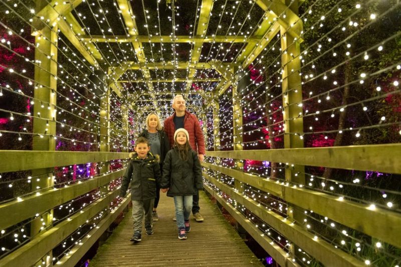 Enchanted Forest light show celebrates 20 years - BBC News