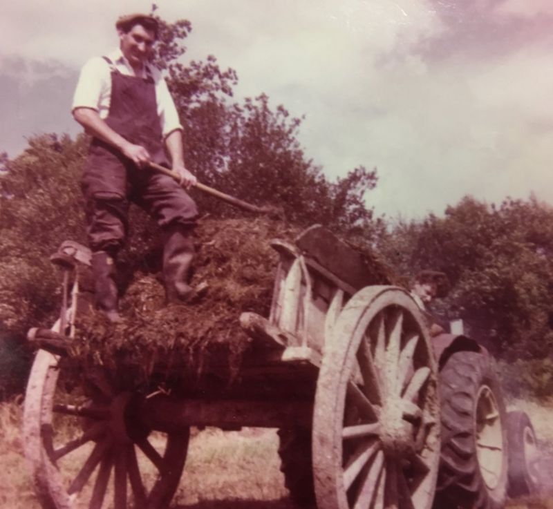 Great Storm 1987: The day 18 people were killed - BBC News