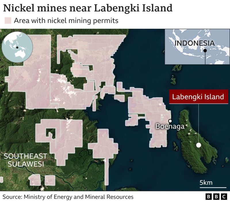 The rush for nickel: 'They are destroying our future' - BBC News