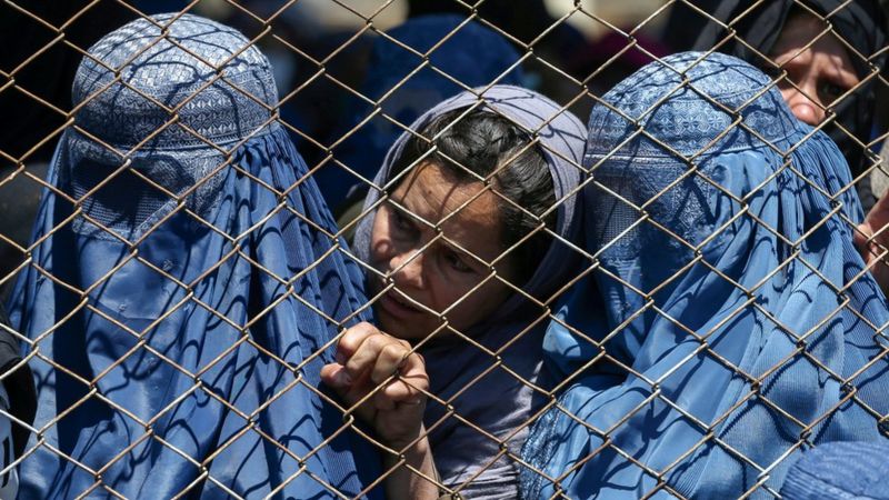 Baleada na volta da escola: biografia de Malala indica o que é crescer ...