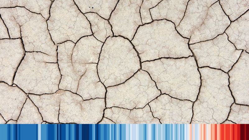 Climate change: The environmental disasters we've almost fixed - BBC News