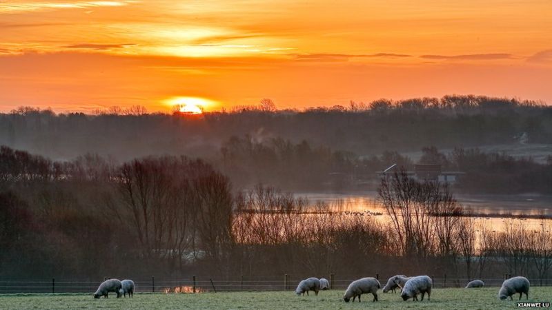 Your January UK weather photos - BBC Weather