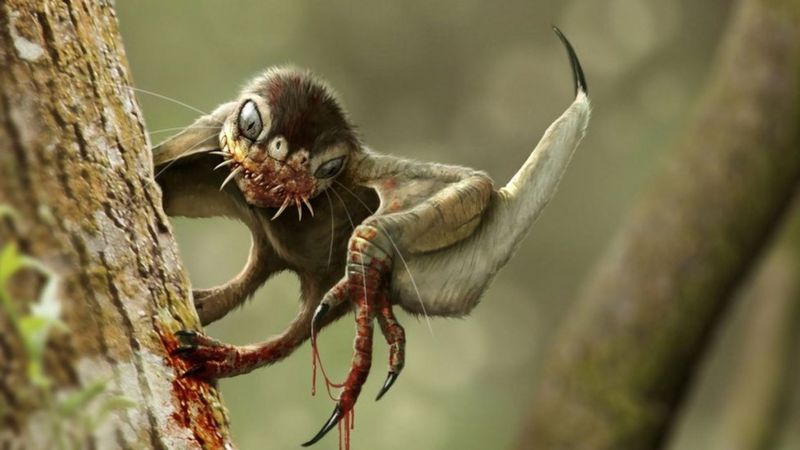 Welsh dragons: Legends and landscapes inspire new creatures - BBC News