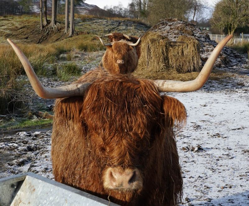 Your pictures of Scotland 28 February - 6 March - BBC News