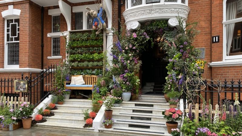 Florist's Peter Rabbit display wins Chelsea in Bloom contest - BBC News