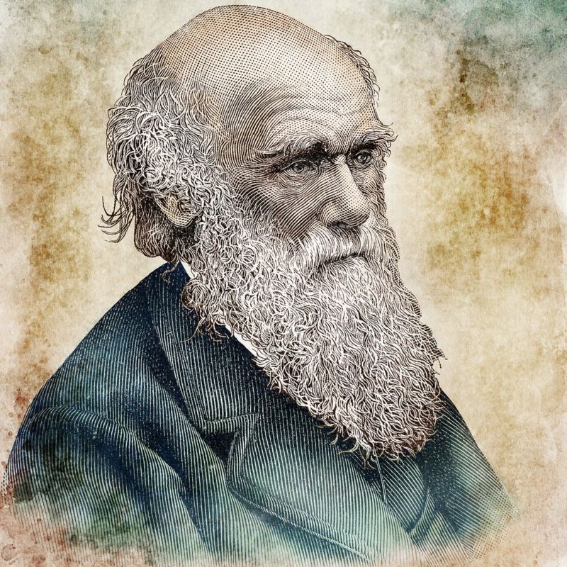 A outra grande obra de Charles Darwin que poucos conhecem (e não é ...