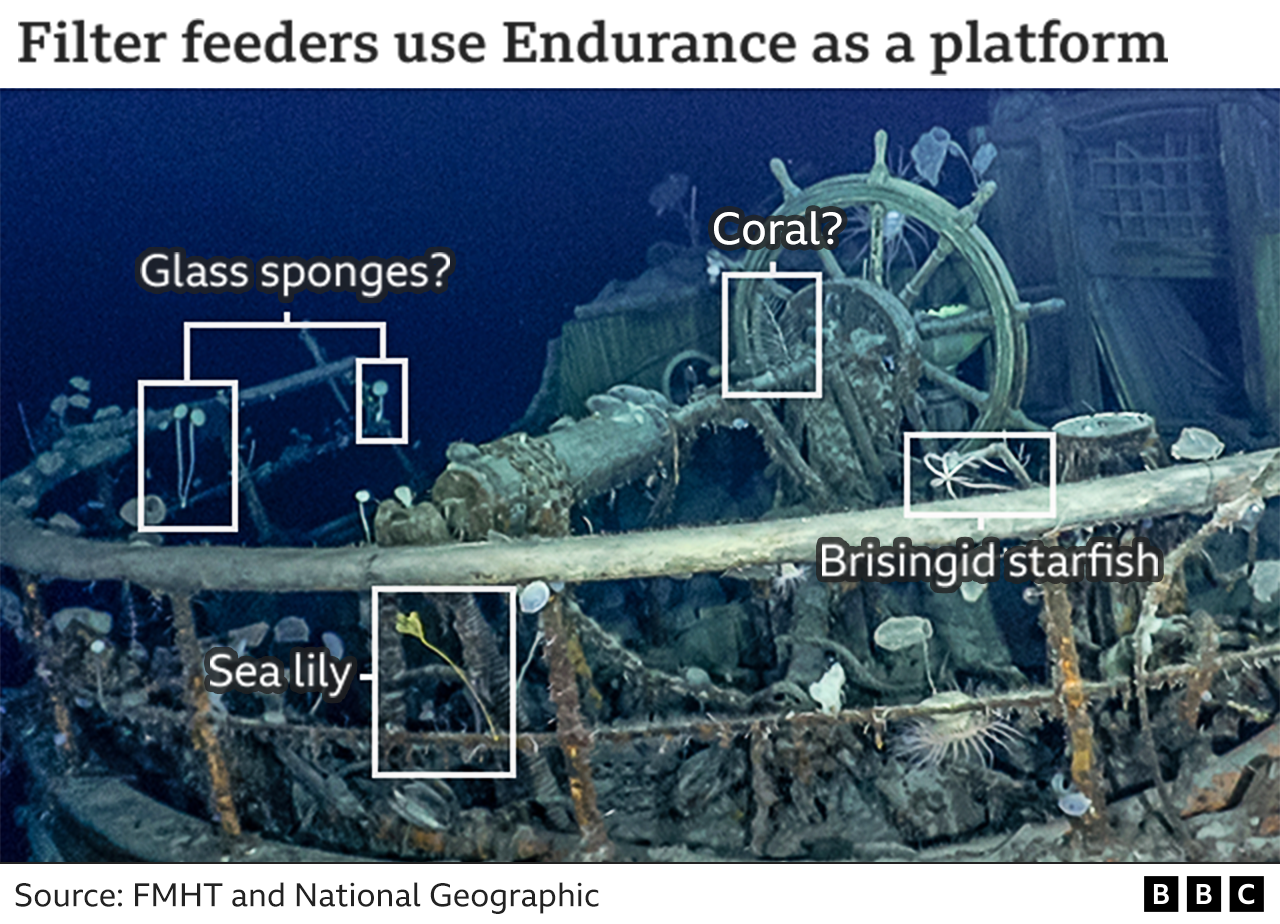 Endurance wreck: Nations look to protect Shackleton ship from damage ...