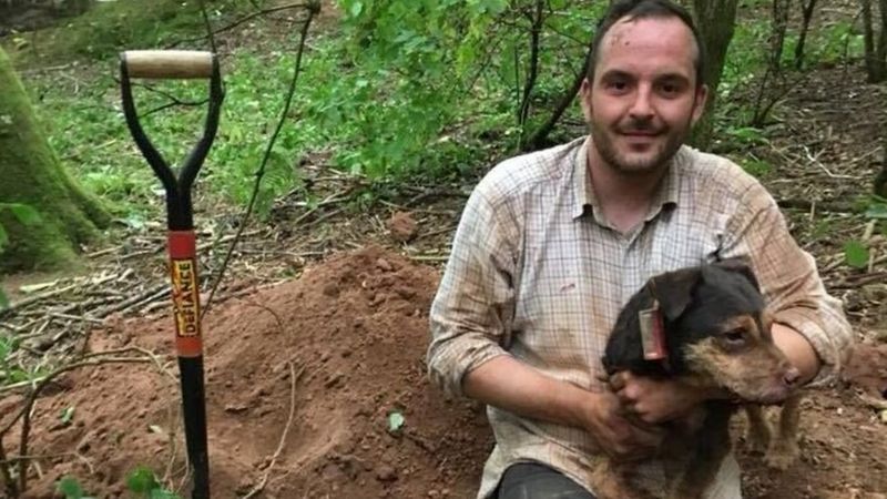 Badger baiting: The story behind the convictions - BBC News