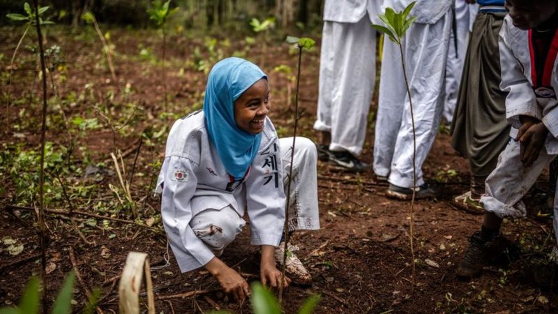 Kenya's goal to plant 15 billion trees - and more tree planting records ...