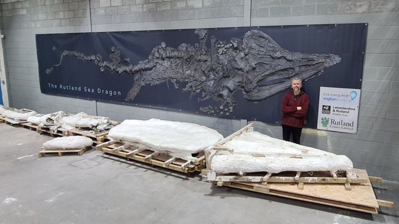 Rutland sea dragon: How remarkable ichthyosaur fossil was protected ...