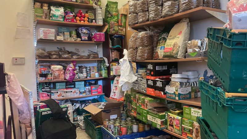 Coventry pet food bank set to expand as demand rises - BBC News