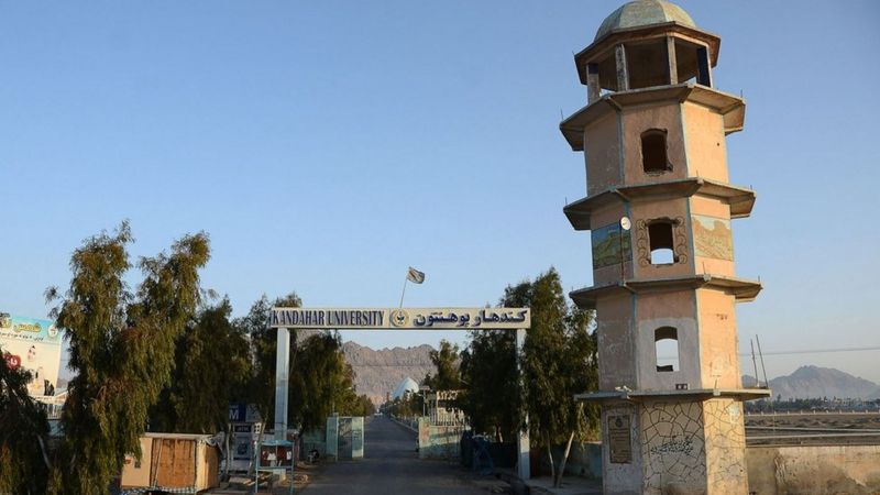 Afghanistan Taliban Ban Women From Many University Subjects Bbc News