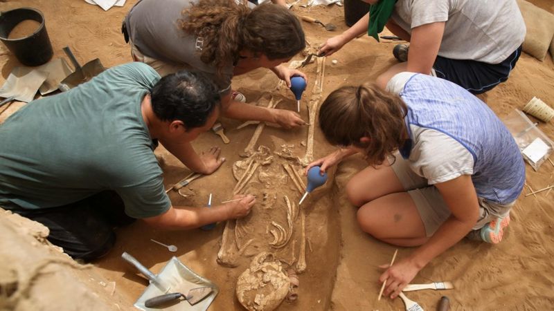 Researchers make 'first discovery' of Philistine cemetery - BBC News