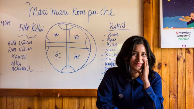 Lengua mapuche: el enigma de su origen y otras 4 singularidades del ...