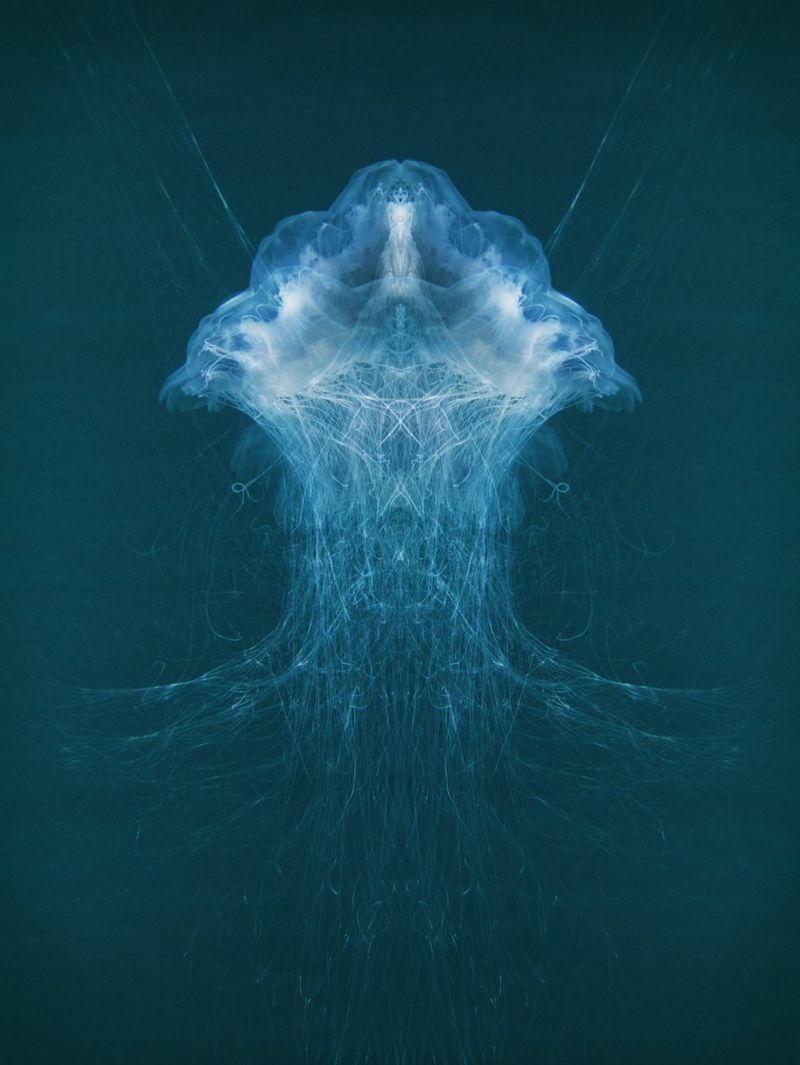 The breath-taking alien world of plastic bags under the sea - BBC News