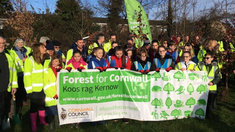 First trees in 'Forest for Cornwall' planted - BBC News