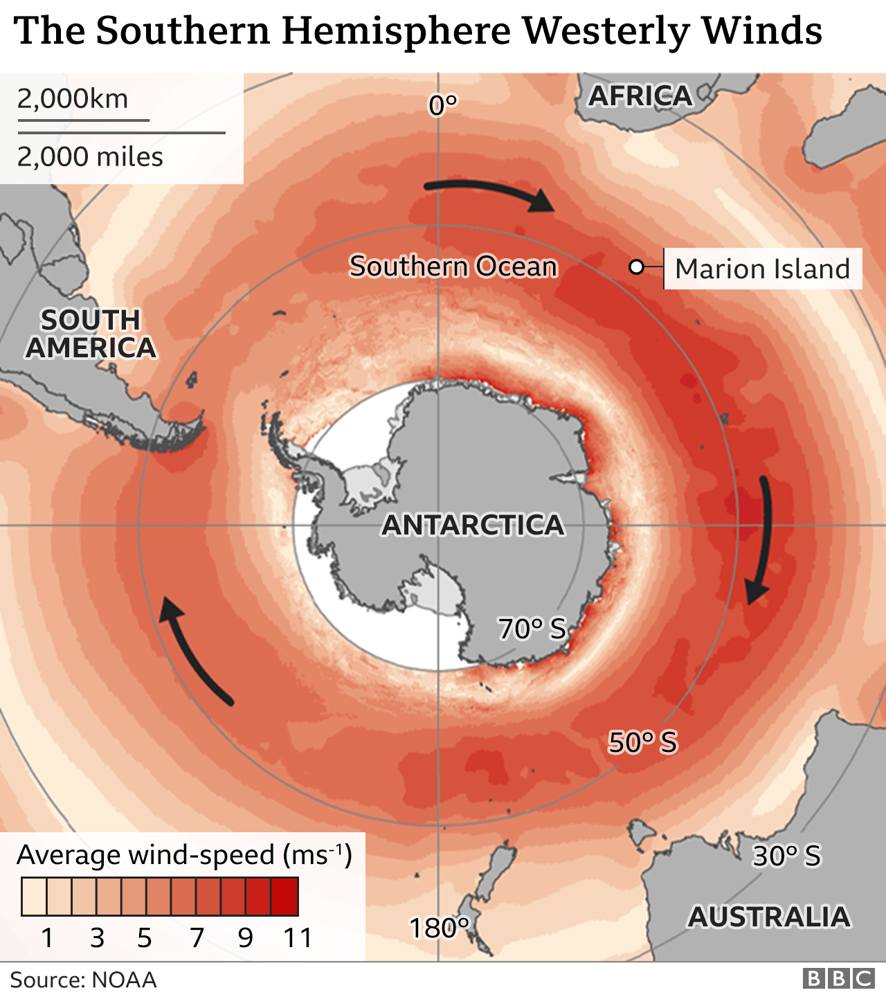 Climate change: 700-year history of wind recorded in island mud - BBC News