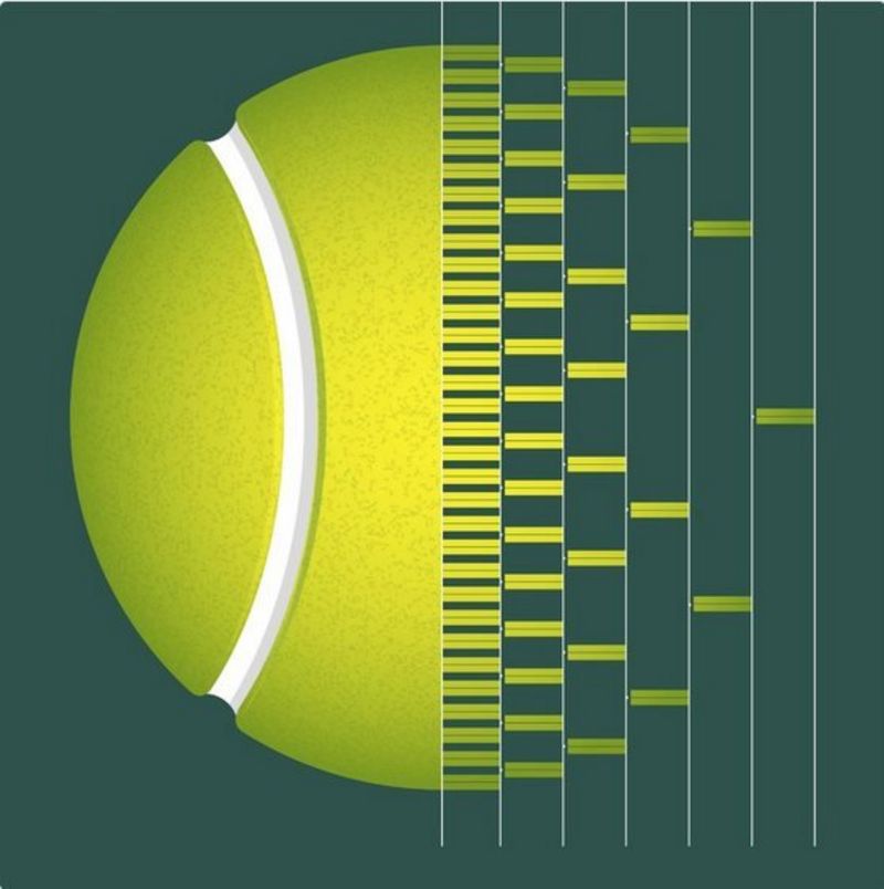 Wimbledon 2016 - all you need to know - BBC Sport