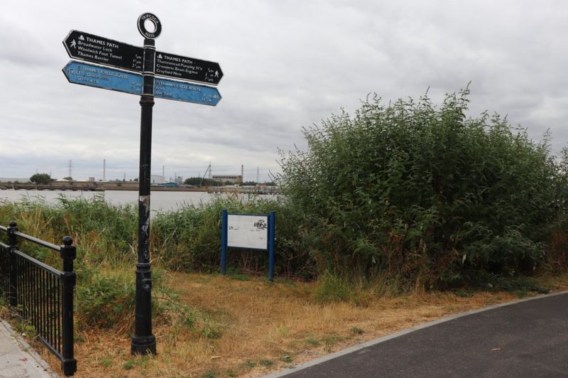 Princess Alice disaster: The Thames' 650 forgotten dead - BBC News