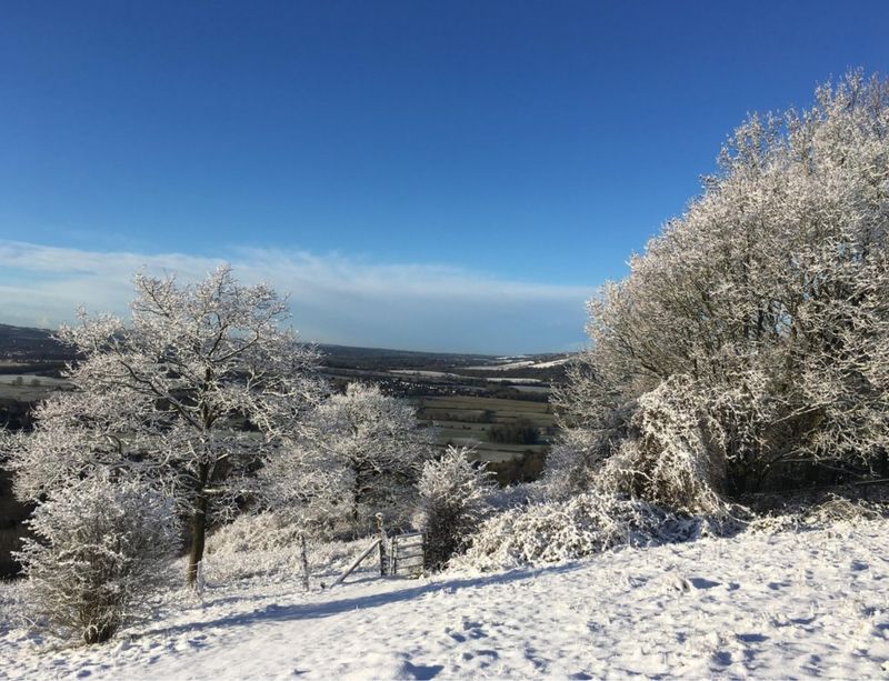 In pictures: Snowy scenes from around England - BBC News
