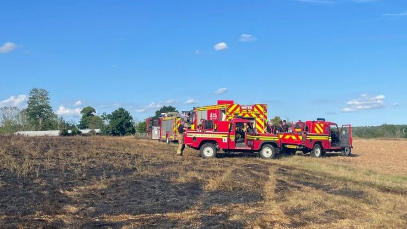 Out of control bonfire in Idsworth damages grassland - BBC News