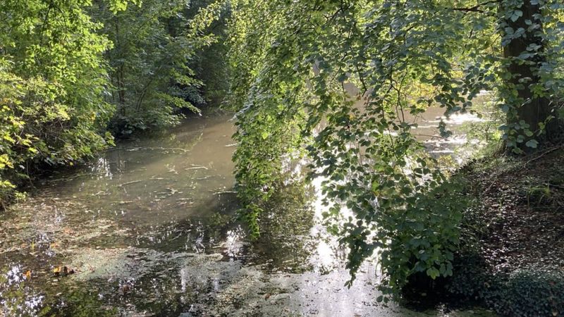 Pollution fears for River Glaven after torrential rain - BBC News