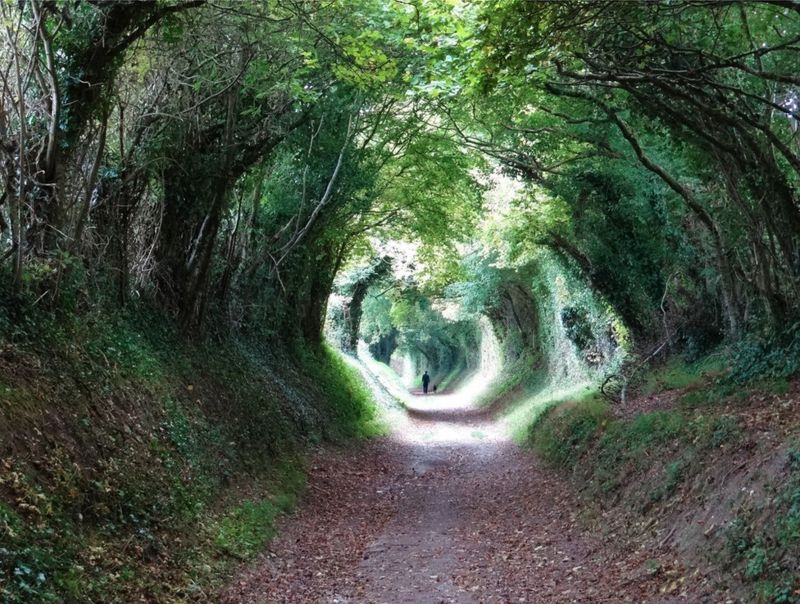 Your pictures: Paths - BBC News
