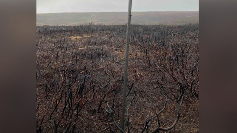 Peak District landowner admits illegal peat burning on moorland - BBC News