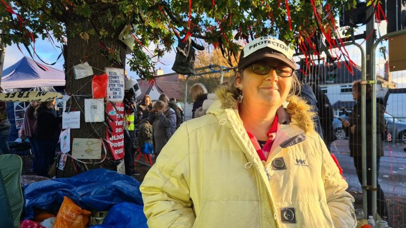 Rochford tree protest: Essex Police investigate gun incident - BBC News