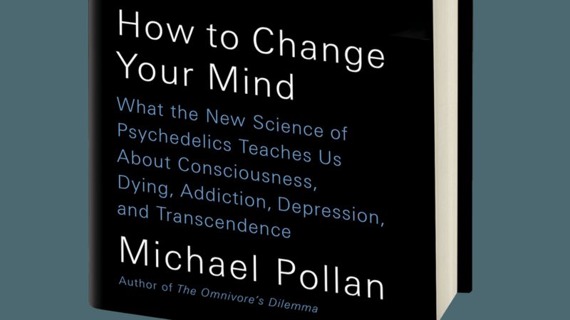 Michael Pollan: por qué probé el LSD a punto de cumplir 60 y cómo cambió mi idea sobre las ...