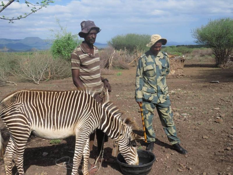 Jaalalli daa'imaafi jaldeessa hongeen haadha dhabee, namoota hedduu ...