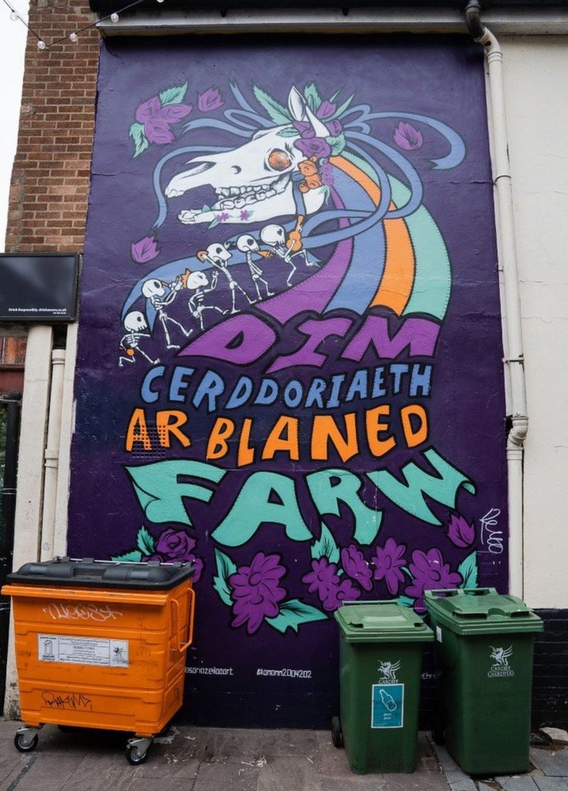 In pictures: Graffiti used to protest climate change and war - BBC News
