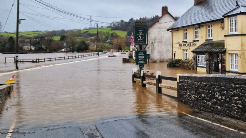 Devon severe weather floods roads and fells trees - BBC News