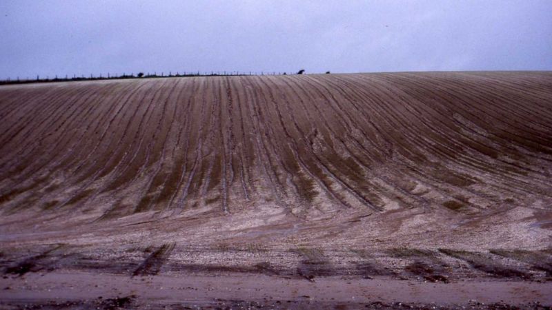MPs sound alarm on neglected soils - BBC News